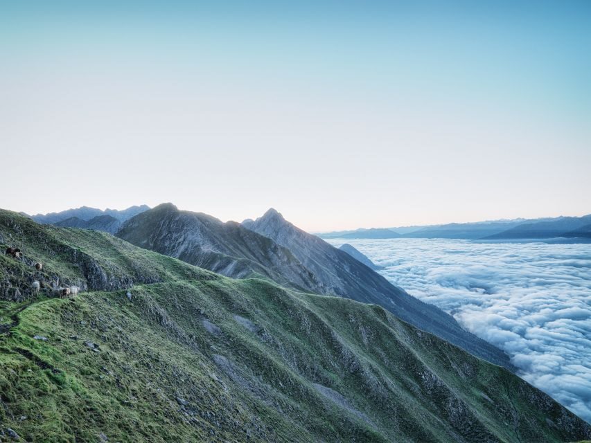 Innsbruck: Alpenzoo & Top of Innsbruck Combination Ticket - What We Love and What to Consider