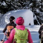 Innsbruck: Priv. Guided Snowy Mountain Hike /Snowshoe´s - The Itinerary in Detail
