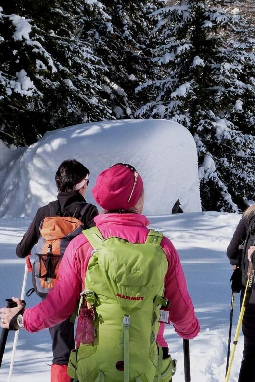Innsbruck: Priv. Guided Snowy Mountain Hike /Snowshoe´s - The Itinerary in Detail