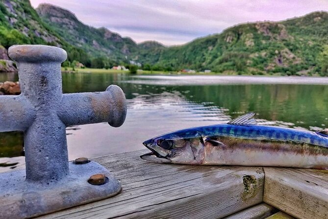 Inshore fishing in the Drangefjord - Key Points