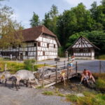 Interlaken: Admission ticket for the Ballenberg Open-Air Museum - Practical Details and Tips