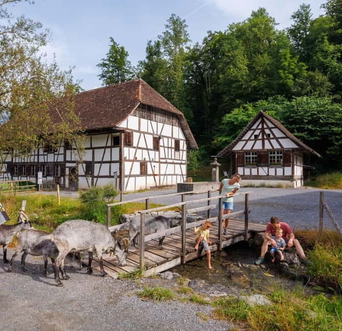 Interlaken: Admission ticket for the Ballenberg Open-Air Museum - Practical Details and Tips
