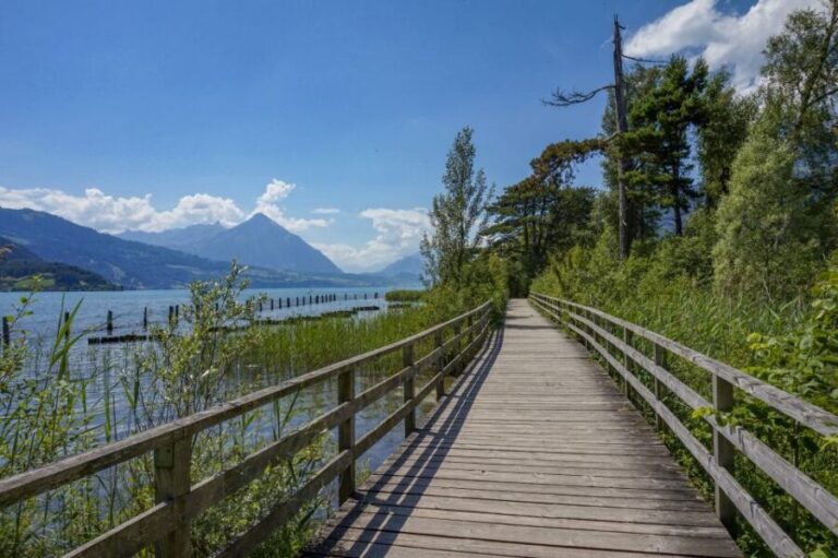 Interlaken: Express Walk with a Local in 60 minutes - Who Will Get the Most Out of This Tour?