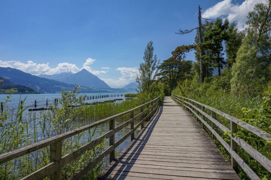 Interlaken: Express Walk with a Local in 60 minutes - Who Will Get the Most Out of This Tour?