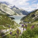 Interlaken Full-Day Highlights Tour with a Local by Private Car - Key Points