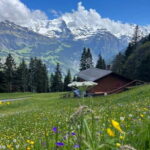 Interlaken: hike to an Alpine Lake and a Cozy Mountain Hut. - The Hike Begins