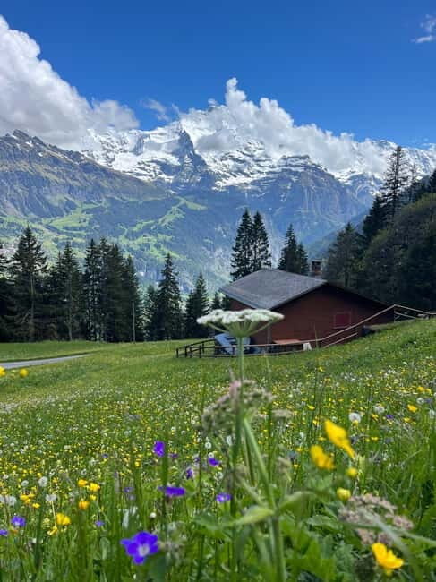 Interlaken: hike to an Alpine Lake and a Cozy Mountain Hut. - The Hike Begins