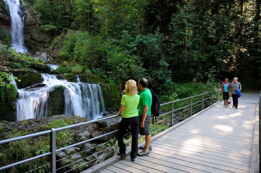 Interlaken & Jungfrau: Custom-Tailored Tour with Local Guide - FAQs