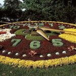 International & Panoramic Tours Geneva - Who Will Benefit Most from This Tour?