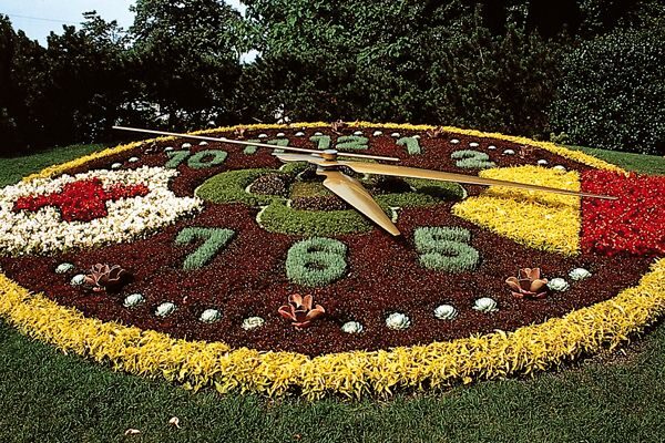 International & Panoramic Tours Geneva - Who Will Benefit Most from This Tour?
