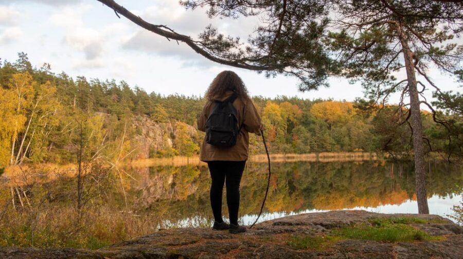 Into the wild - a sensorial experience in Stockholm's woods - The Value of the Experience
