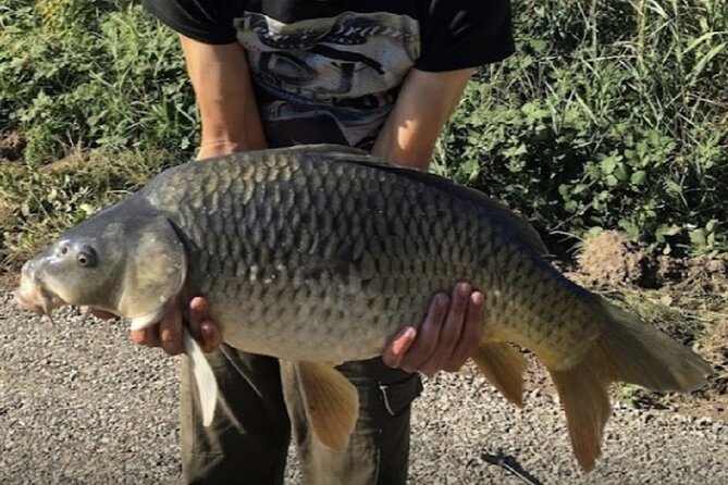 Introduction to fishing in Strasbourg - Introduction to Fishing in Strasbourg