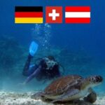 Introductory diving in small groups - What’s Notable but Worth Considering