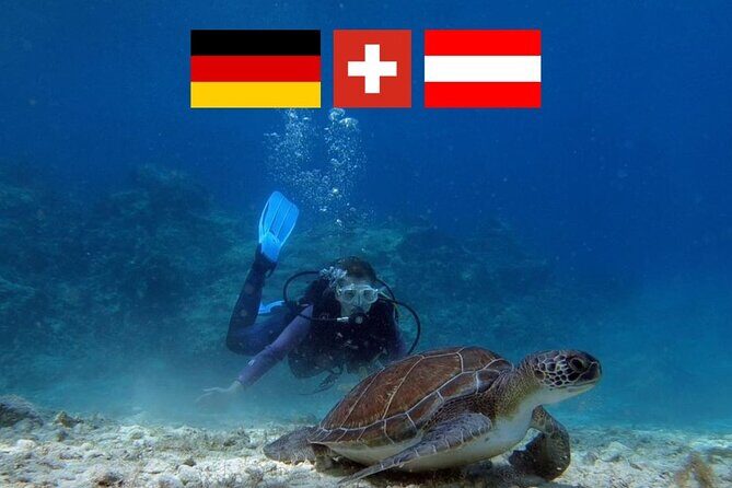 Introductory diving in small groups - What’s Notable but Worth Considering
