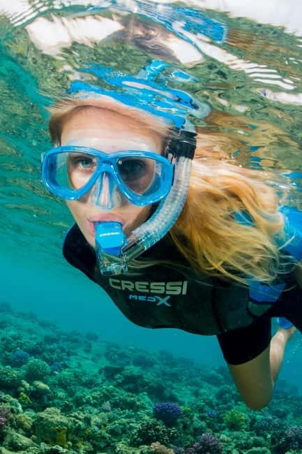 Introductory scuba diving - Authentic Experiences and What Travelers Say