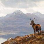 Inverness: Applecross, Loch Carron & Wild Highlands Day Tour - The Highlight: Bealach na Bà