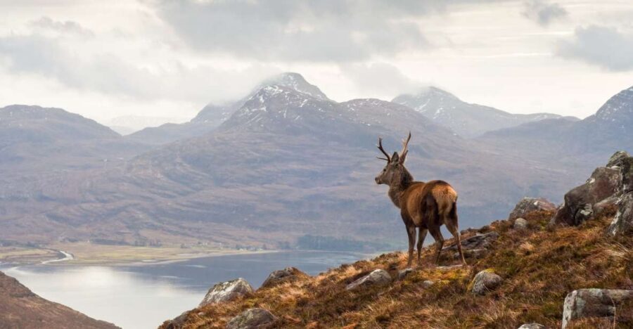 Inverness: Applecross, Loch Carron & Wild Highlands Day Tour - The Highlight: Bealach na Bà