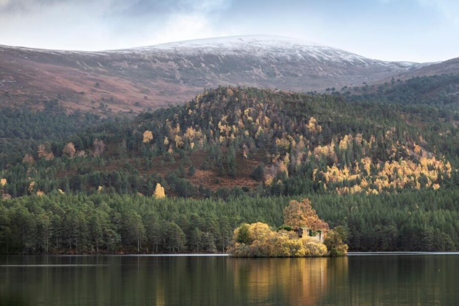 Inverness: Fort George, Culloden, and Cairngorms Day Trip - Transportation and Group Dynamics