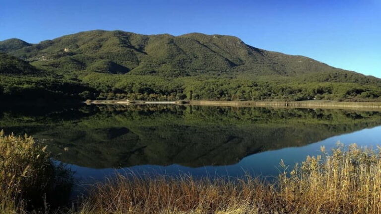 Ioannina Private Guided City Tour - Who Will Love This Tour?