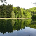 Irati Forest and Ochagavía Excursion - What We Loved and What to Consider
