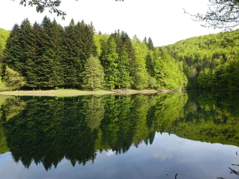 Irati Forest and Ochagavía Excursion - What We Loved and What to Consider