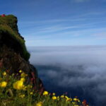 Ísafjörður: Hornstrandir Nature Reserve Guided Hike - The Hike: From Hornvík to the Cliffs