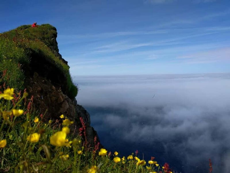 Ísafjörður: Hornstrandir Nature Reserve Guided Hike - The Hike: From Hornvík to the Cliffs