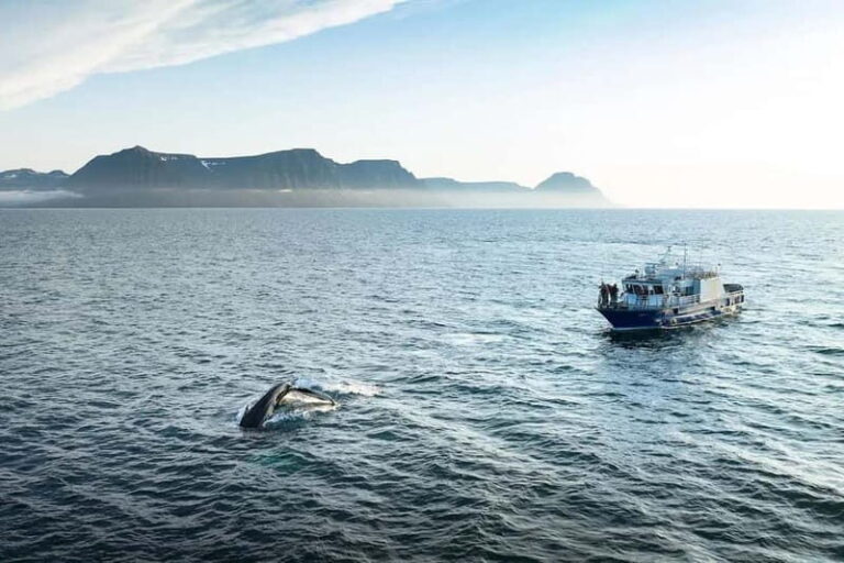 Ísafjörður: Midnight Whale Watching Tour with Hydrophone - Itinerary Breakdown
