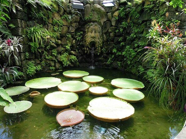 Ischia and La Mortella Gardens - In-Depth Look at the Experience