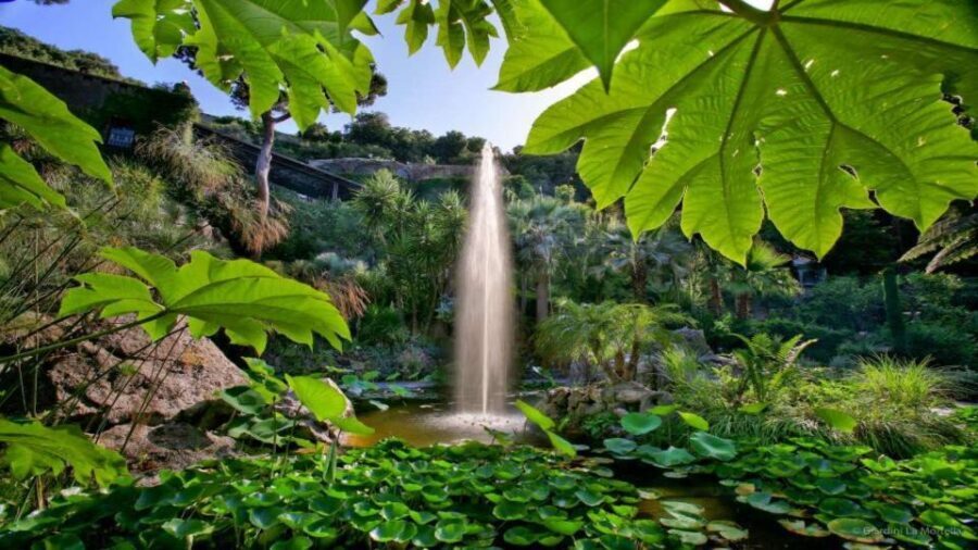 Ischia and Mortella Gardens Full-Day Tour from Sorrento - Who Should Consider This Tour?