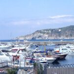 Ischia Food Tastings & Sightseeing: Private Day Trip from Naples Port - Final Thoughts