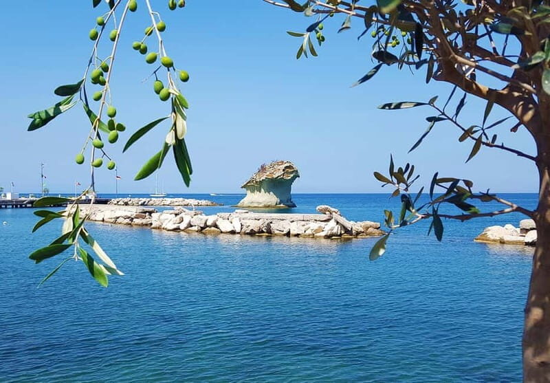 Ischia: Island tour by bus - The Practical Aspects
