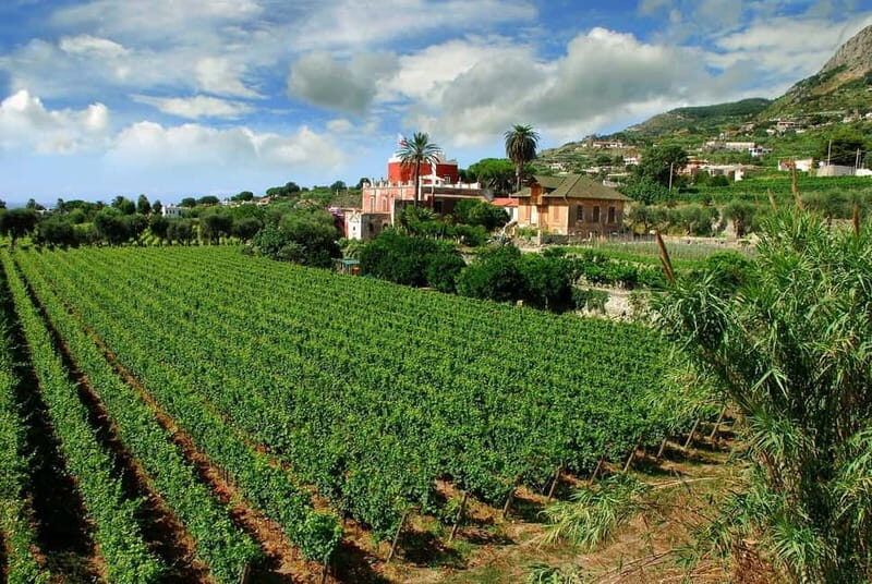 Ischia: Island tour with wine tasting in a typical winery - Exploring the Key Stops in Detail