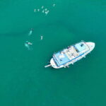 Ischia: MiniCruise with swimming stops and lunch on board - Introduction: Why This MiniCruise of Ischia Stands Out