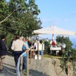 Ischia: Vineyard Tour & Wine Tasting Experience w/ Transfers - Key Points
