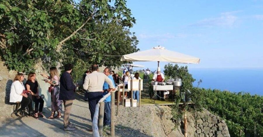 Ischia: Vineyard Tour & Wine Tasting Experience w/ Transfers - Key Points
