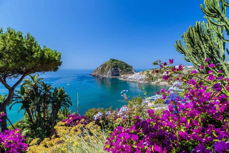 Ischia: Vineyard Tour - Who Will Love This Tour?