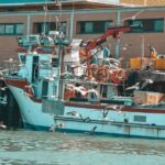 Isla Cristina/Isla Canela: Boat Trip Through the Marshes - Analyzing the Value