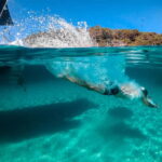 Island Hopping: Santorini to Amorgos - The Details That Matter: Practical Tips