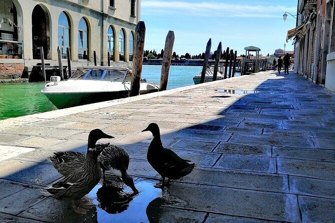 Island Hopping Tour: Mazzorbo, Burano and Murano - Value and Practical Tips
