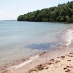 Isle of Wight: Osborne Admission Ticket - What to Expect During Your Visit