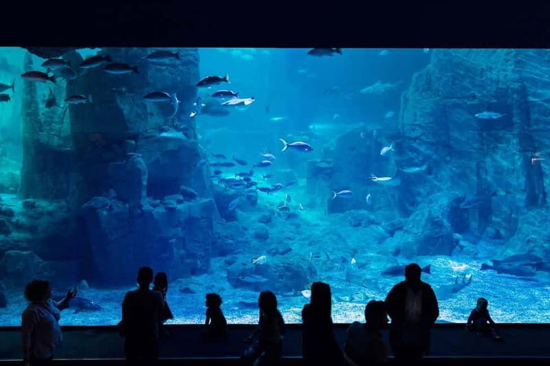 Istanbul: Aquarium Ticket with Shuttle Bus from Sultanahmet - Who Would Love This Tour?