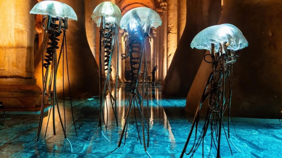 Istanbul: Basilica Cistern Guided Tour - What to Expect from the Tour