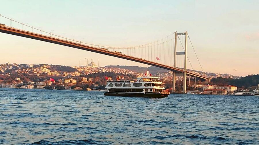 Istanbul: Bosphorus Dinner Cruise with Drinks & Turkish Show - The Experience in Detail