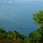 Istanbul: Day Trip to the Princes' Islands - The Details That Matter