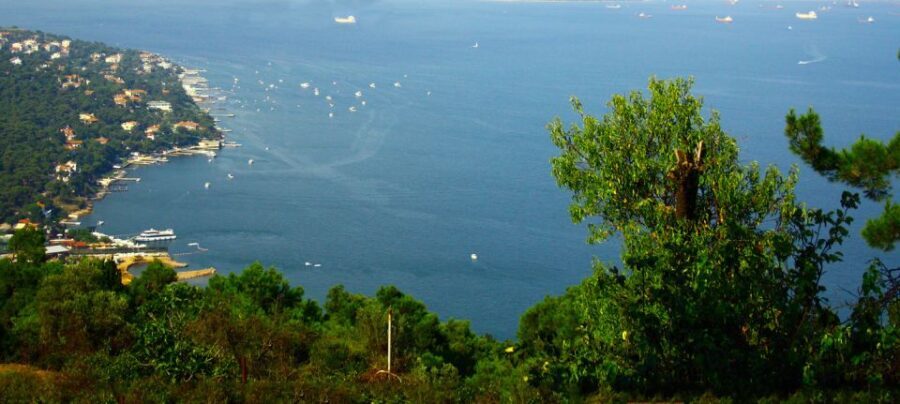 Istanbul: Day Trip to the Princes' Islands - The Details That Matter