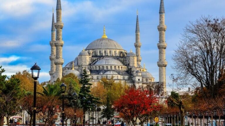 Istanbul: Half Day Morning Walking Tour - Authentic Traveler Feedback