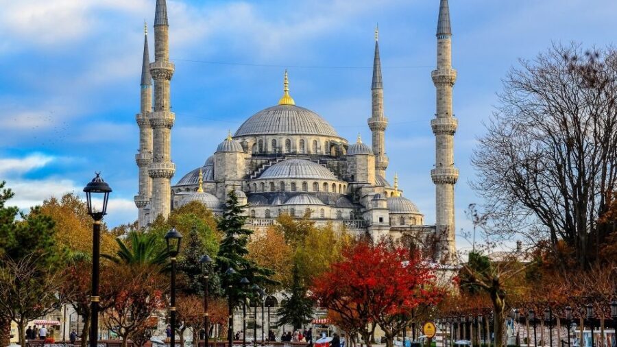 Istanbul: Half Day Morning Walking Tour - Authentic Traveler Feedback