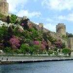 Istanbul Half-Day Tour and Bosphorus Cruise - Practical Tips for Making the Most of the Tour