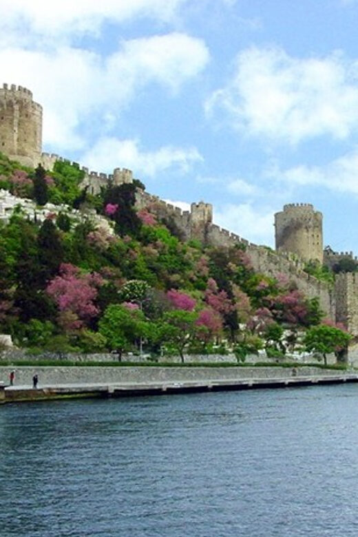 Istanbul Half-Day Tour and Bosphorus Cruise - Practical Tips for Making the Most of the Tour
